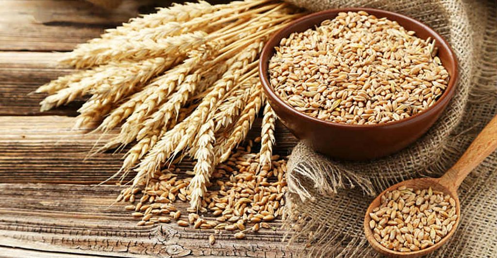Azania Grain Bulk – AZANIA GROUP
